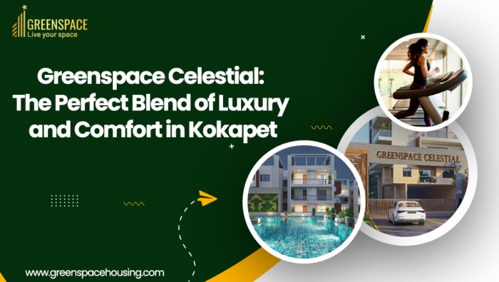 Blog - Insights on Apartment Living & Modern Home Trends